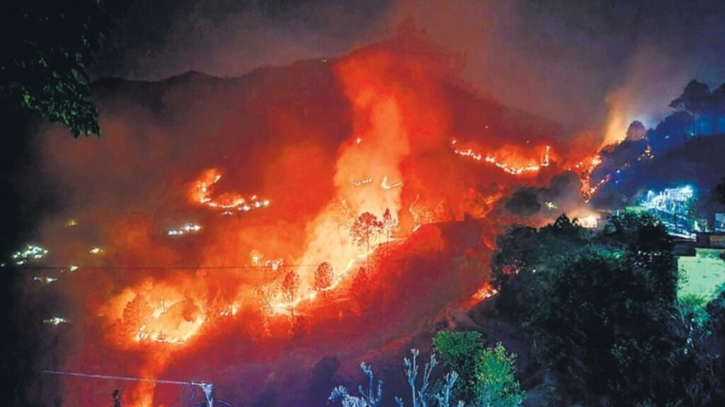 Environmental Crisis: Forest Fires Threaten Kashmir’s Green Cover ...