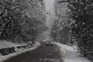 Kashmir’s Upper Reaches Receive Fresh Snowfall — IMD Predicts More Rain ...