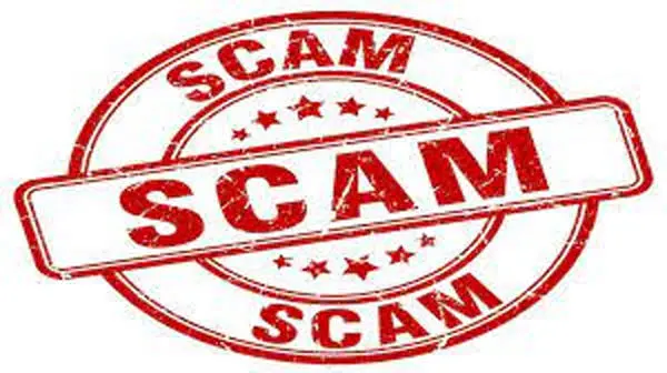 Senior BJP Leader and 10 Others Booked for Embezzlement of ₹97 Lakh Cow ...